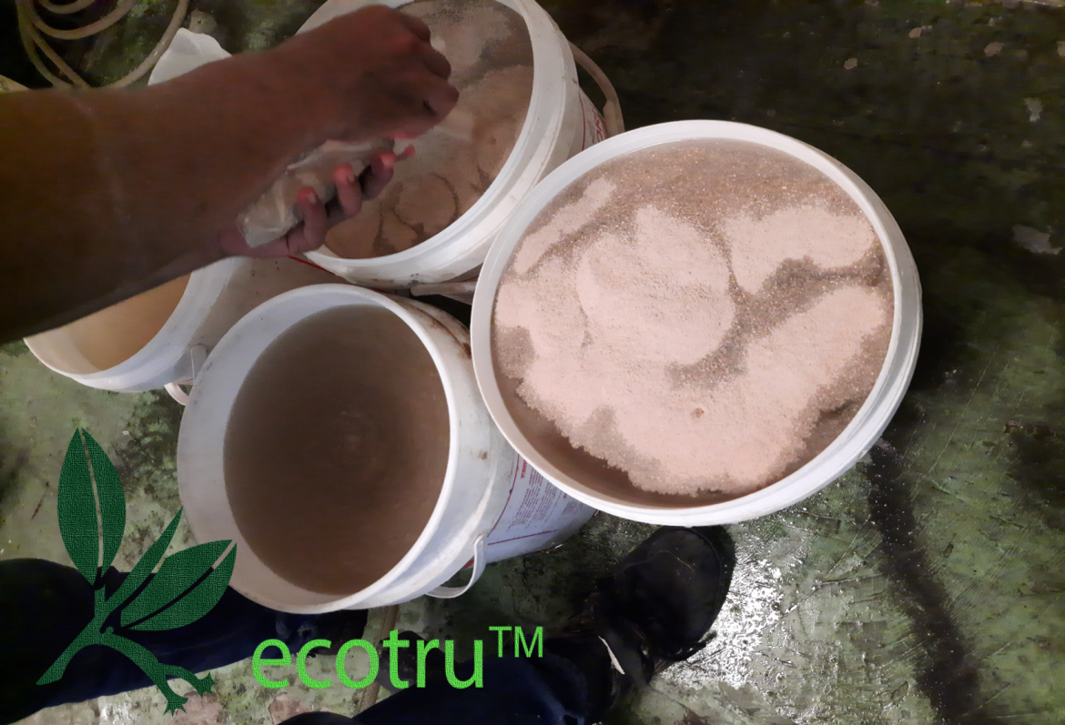 Grease Trap - Ecotru - Powerfull Enzymes and Bacteria